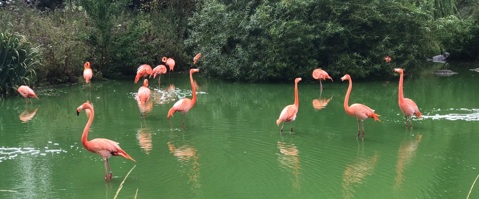 ZSL Whipsnade Zoo | Chilterns National Landscape