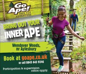 Go Ape Wendover Woods | Chilterns National Landscape
