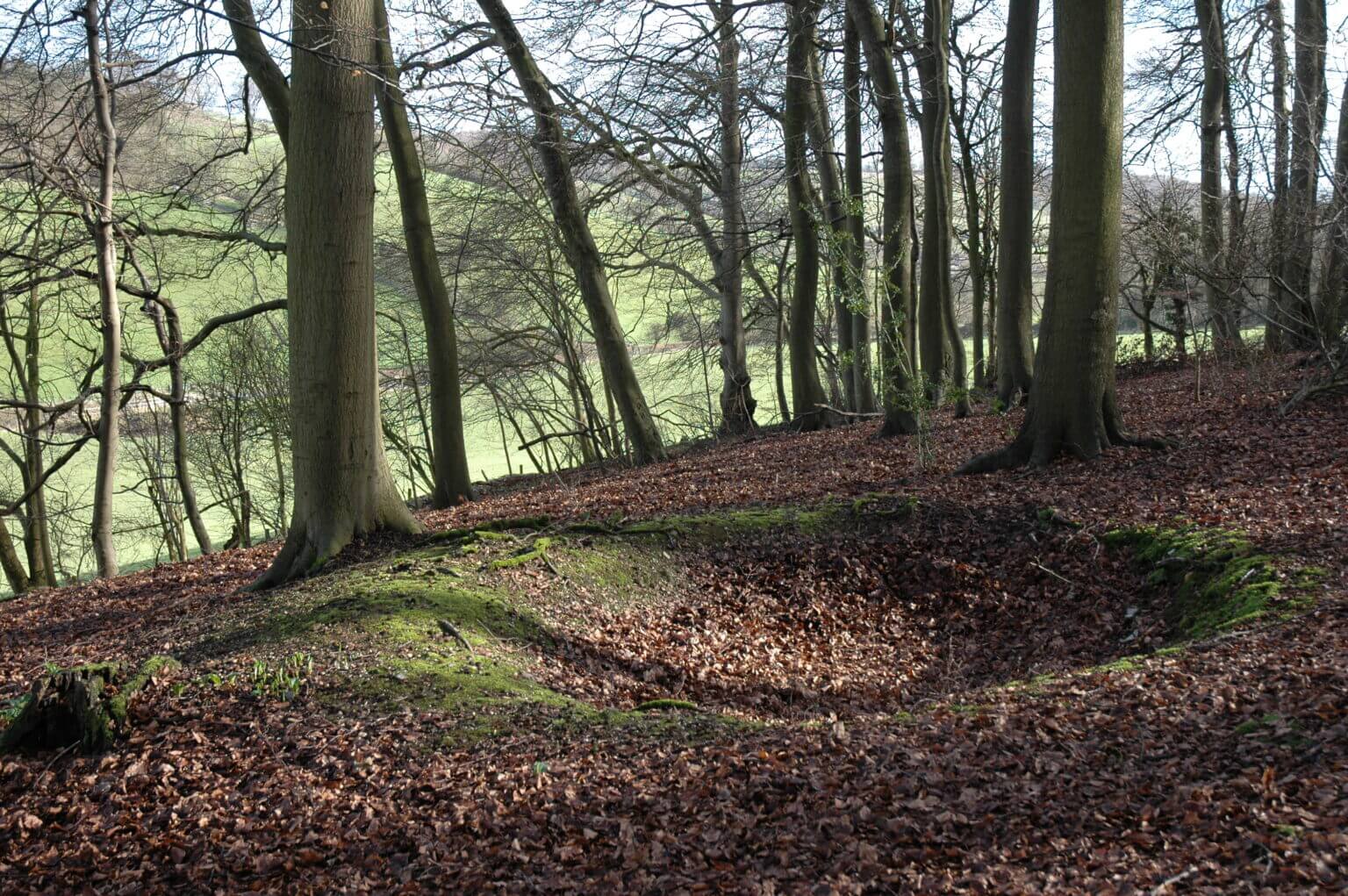 Carpenters Wood – Saw Pits | Chilterns National Landscape