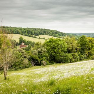 About the National Landscape | Chilterns National Landscape