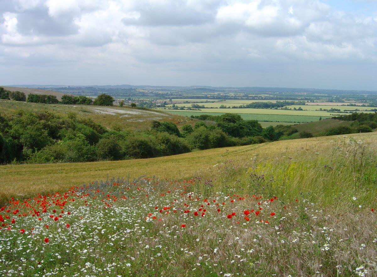 Landscapes Review | Chilterns National Landscape