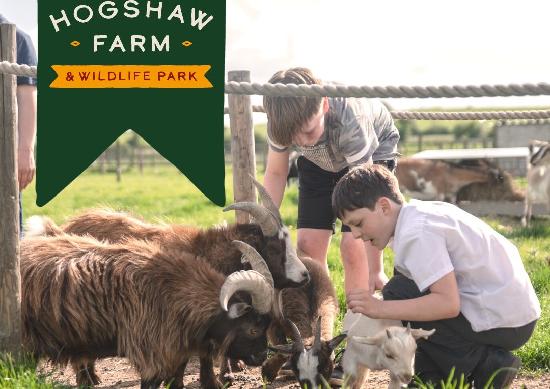 Hogshaw Farm & Wildlife Park | Chilterns National Landscape