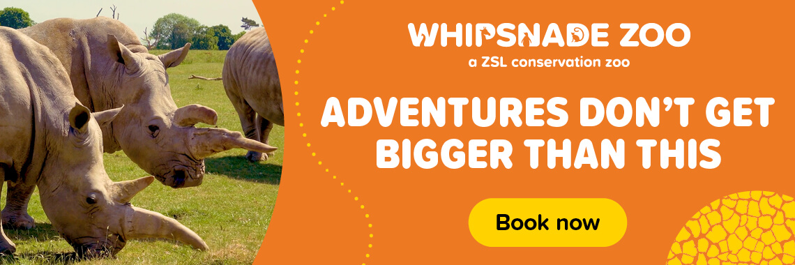 Visit the Chilterns | Chilterns National Landscape | Chilterns National ...