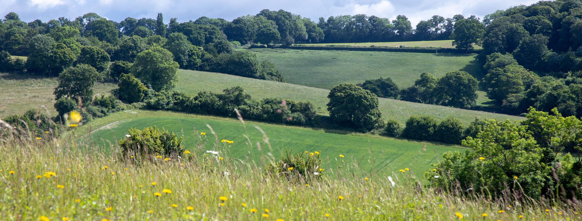 Farming in Protected Landscapes | Chilterns National Landscape