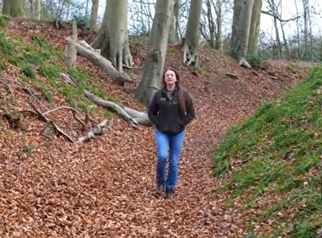 Cholesbury Camp | Chilterns National Landscape | Chilterns National ...