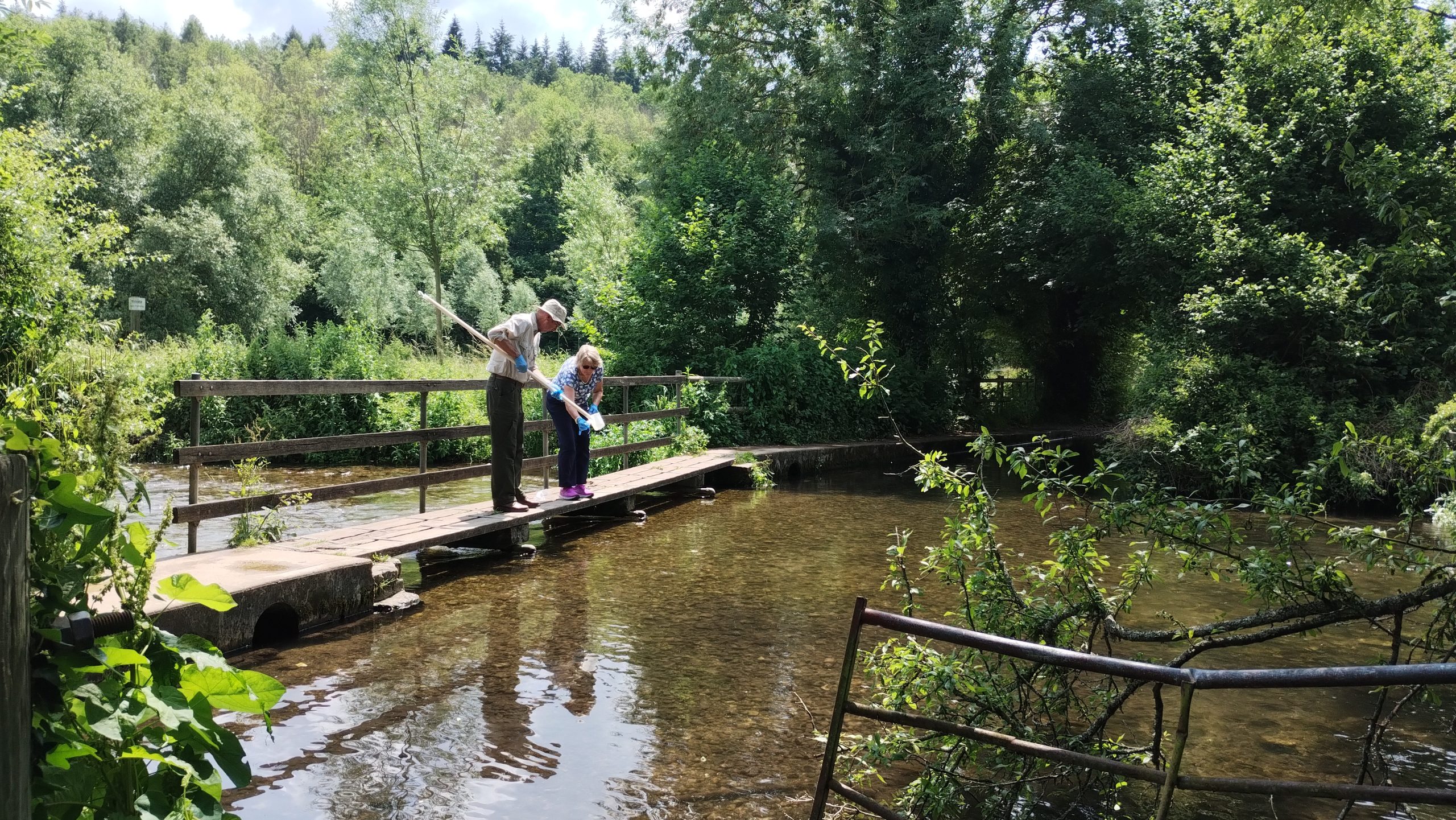 Integrating citizen science into catchment management: lessons learnt ...