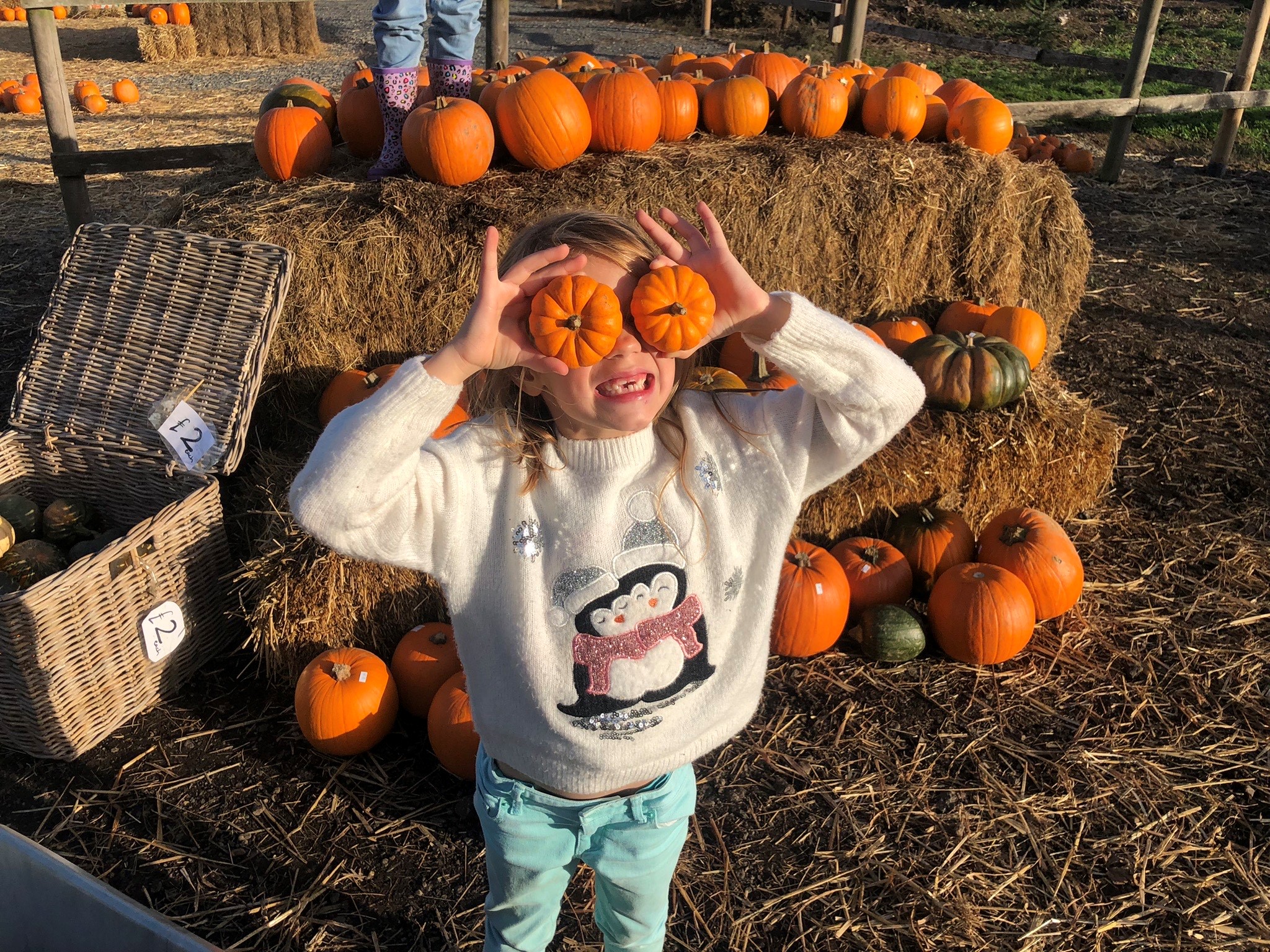 The Pumpkin Patch at Christmas Tree Farm, Chesham | Chilterns National ...